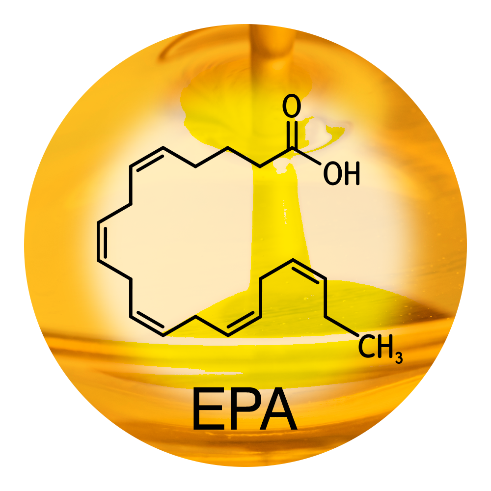 Omega 3 Epa Meaning at Elaine Hudson blog